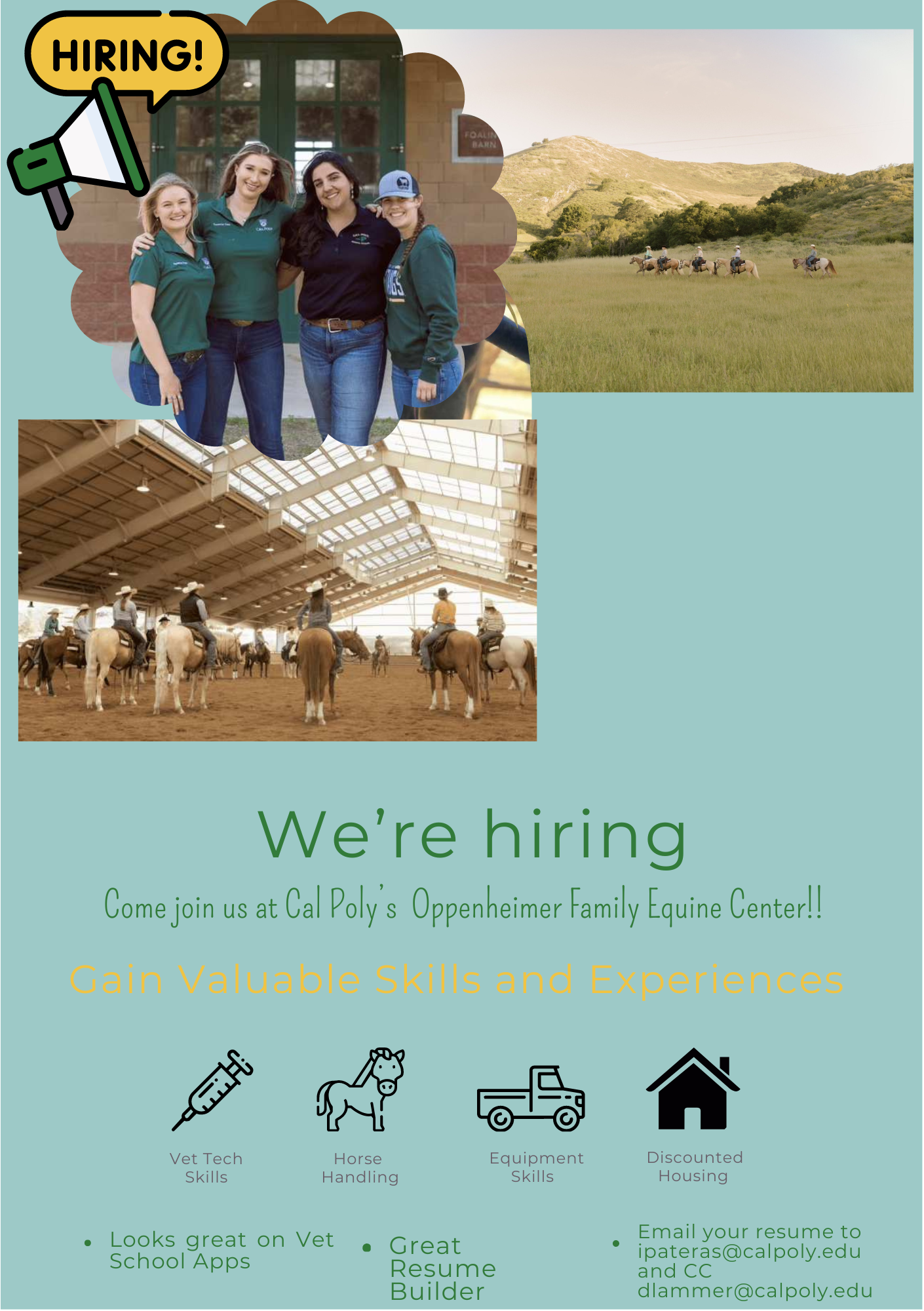 Career, Internships, Graduate Programs and Training Opportunities Job ...