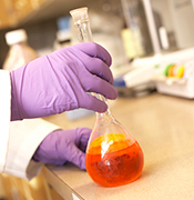 Home - Biological Sciences Department - Cal Poly, San Luis Obispo