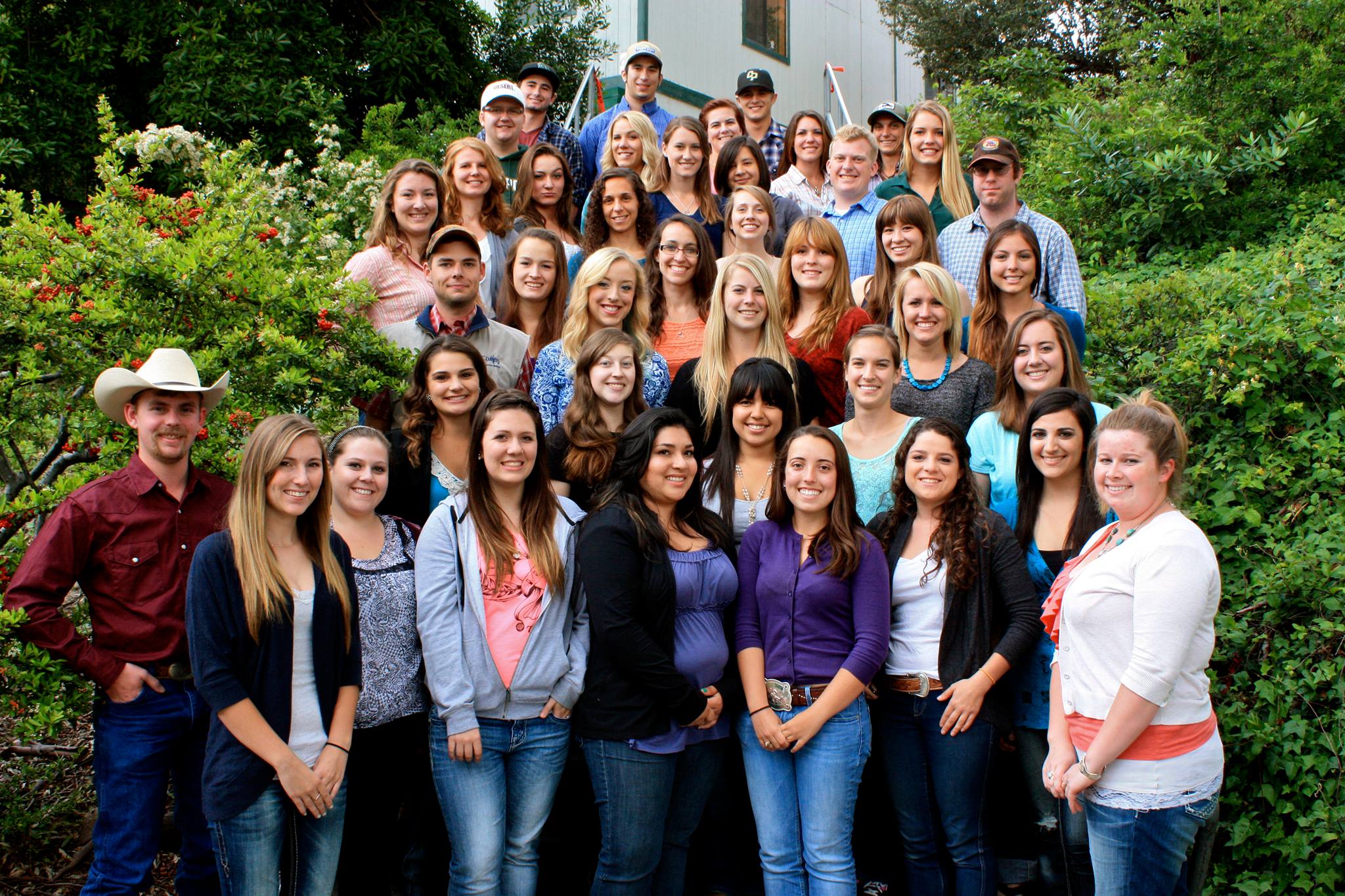 HomeSlider4-Content - Animal Science | Bull Test - Cal Poly, San Luis ...