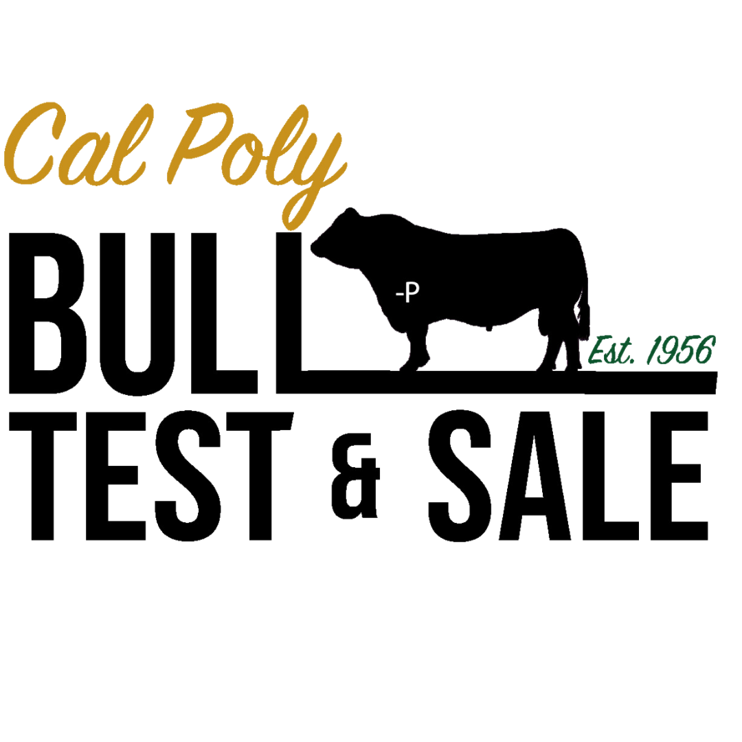 Bull Test Media - Animal Science | Bull Test - Cal Poly, San Luis Obispo