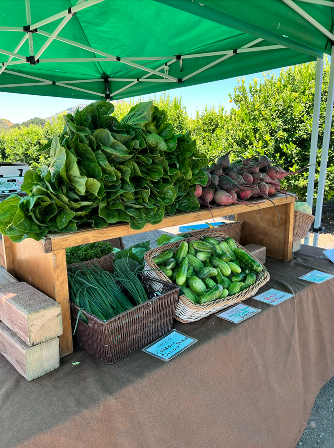 Cal Poly Grown: CAFES Student-Made Products - College of Agriculture ...