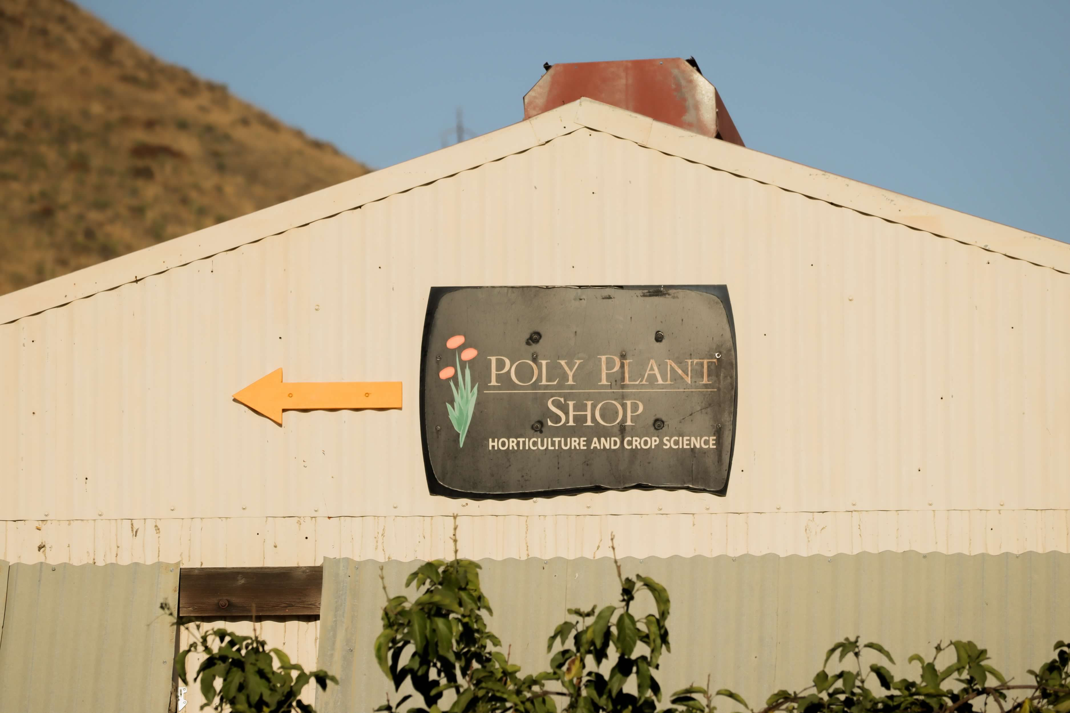 Cal Poly Grown: CAFES Student-Made Products - College of Agriculture ...