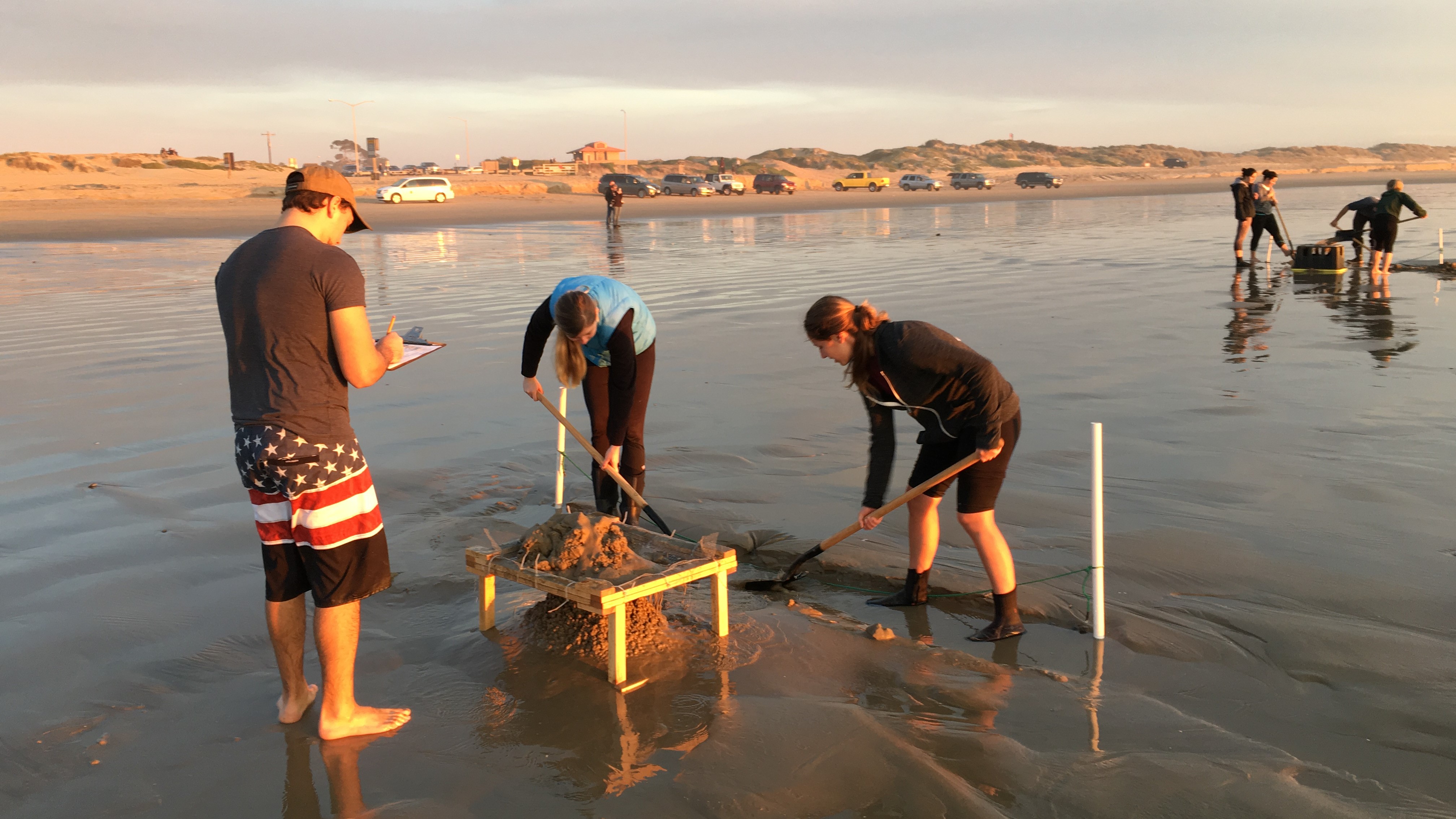 The Decline and Recovery of Pismo Clams - Center for Coastal Marine ...