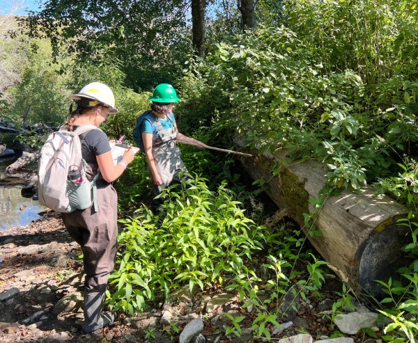 Scott Creek Restoration at Swanton Pacific Ranch - Natural Resources ...