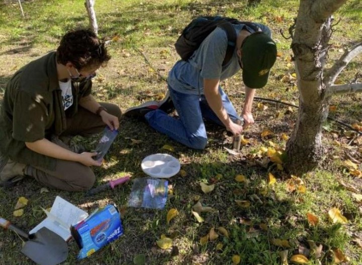 Reveling in Research: Students Researchers Might Discover What Inspires ...
