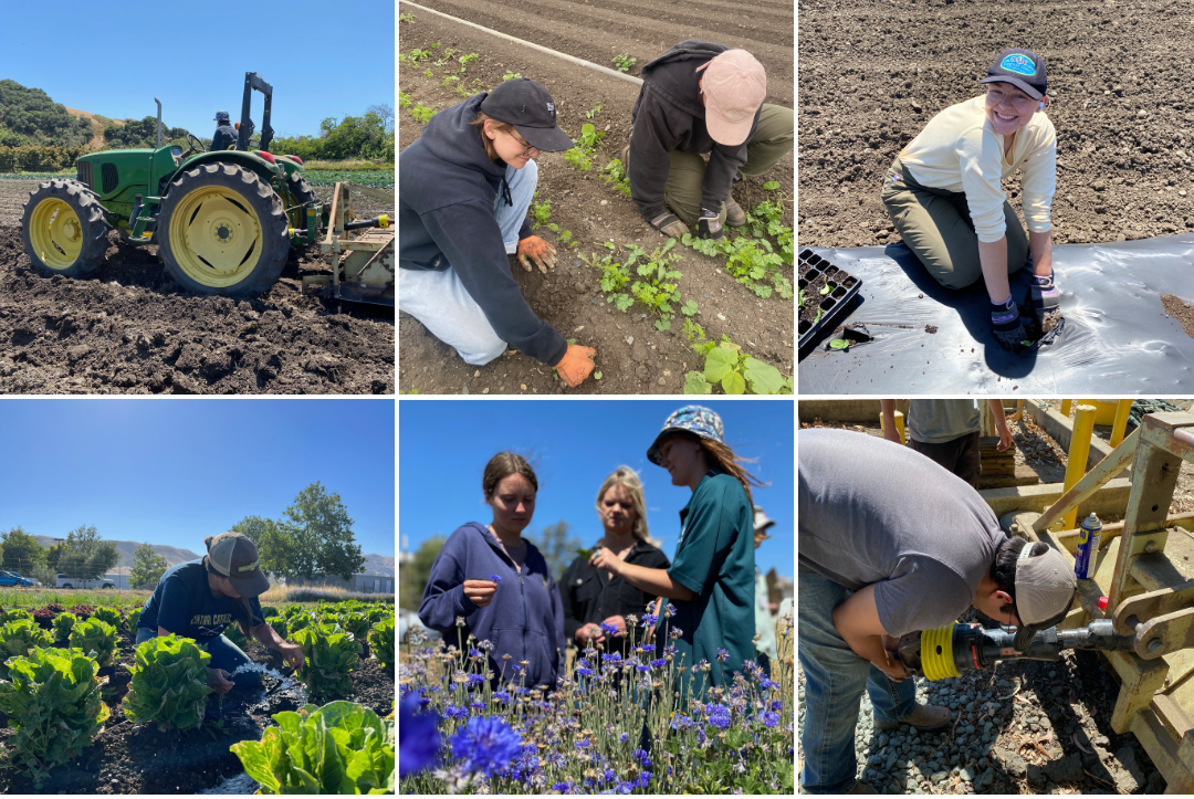 Student Opportunities - The Grimm Family Center for Organic Production ...