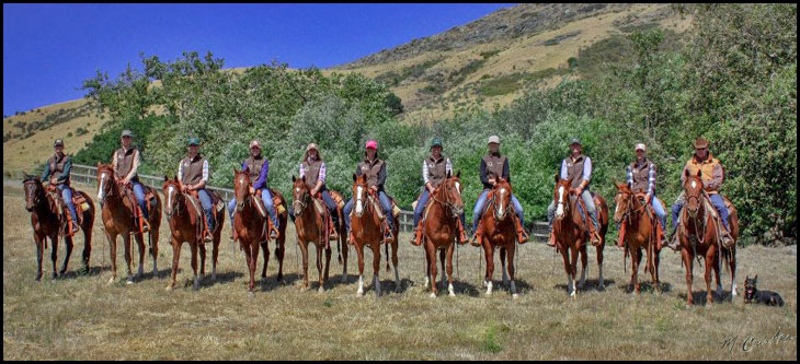 The Cal Poly Equine Center - Performance Horse Sales - Cal Poly, San ...