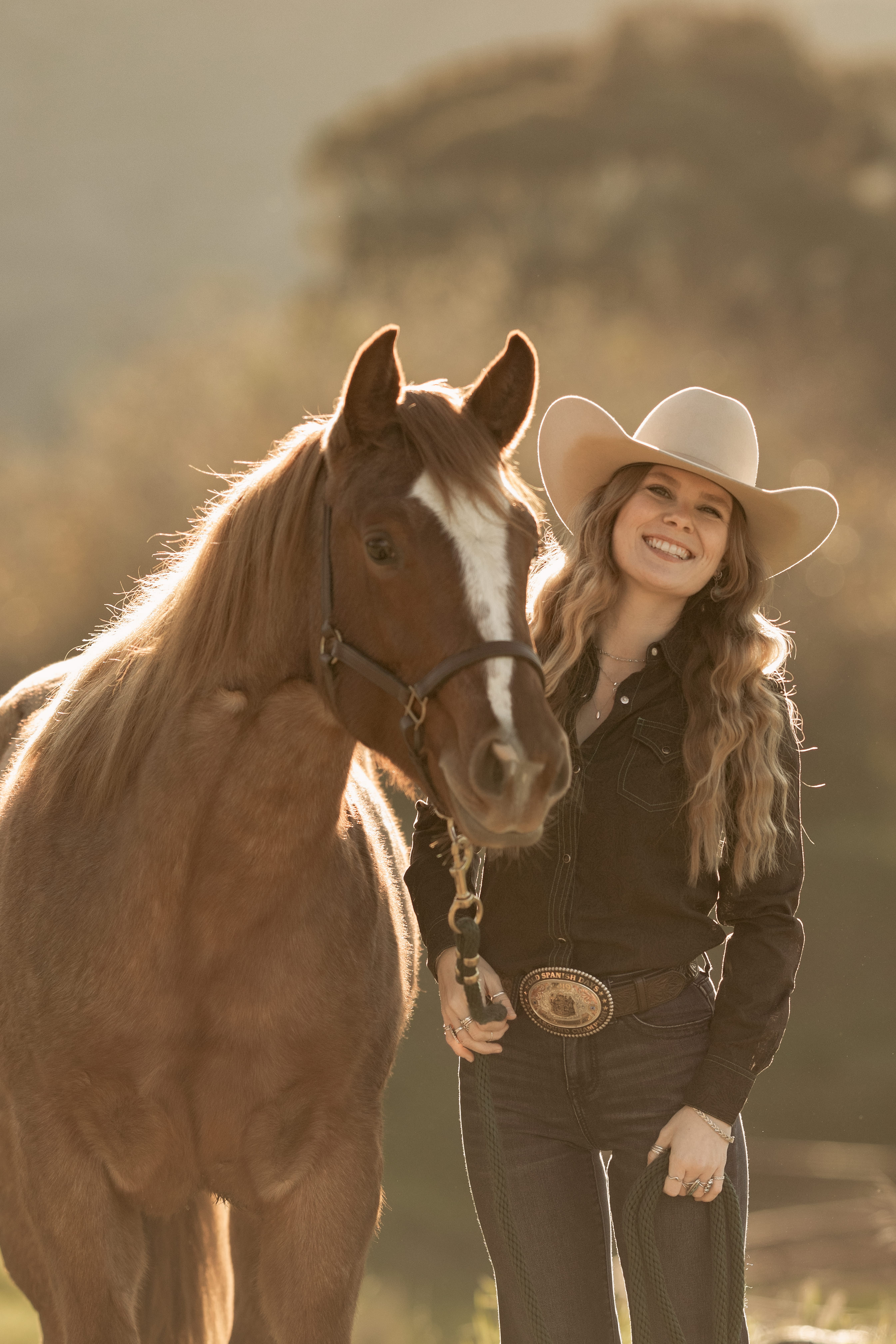 Col Calie Boon (Colbie) - Performance Horse Sales - Cal Poly, San Luis ...
