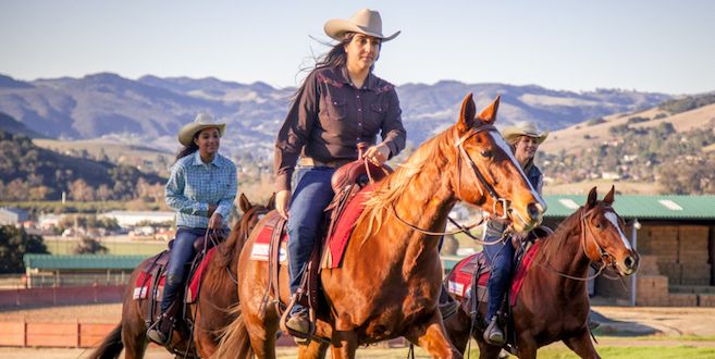 The Cal Poly Equine Center - Performance Horse Sales - Cal Poly, San ...