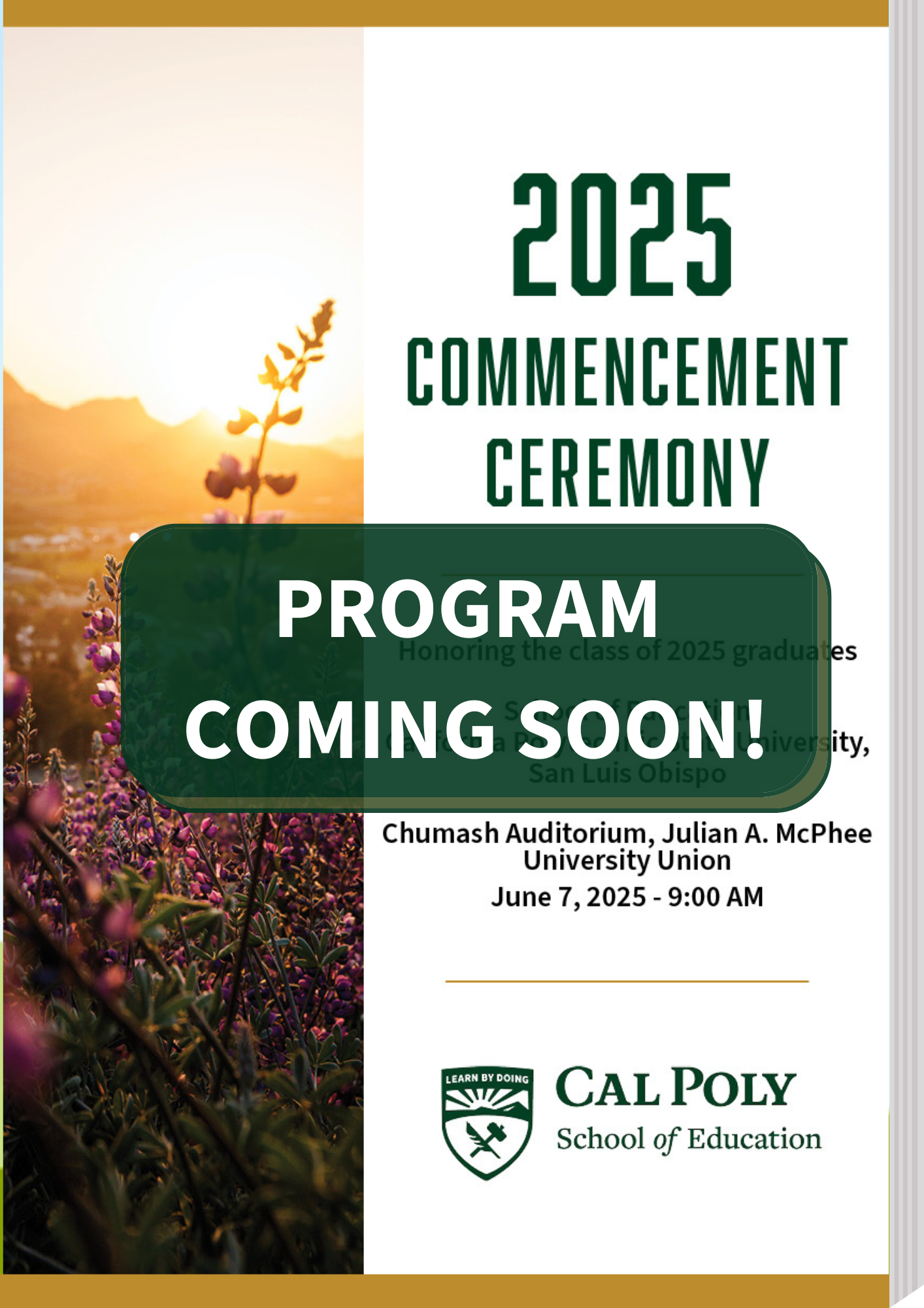 The School of Education invites you to... - School of Education - Cal ...