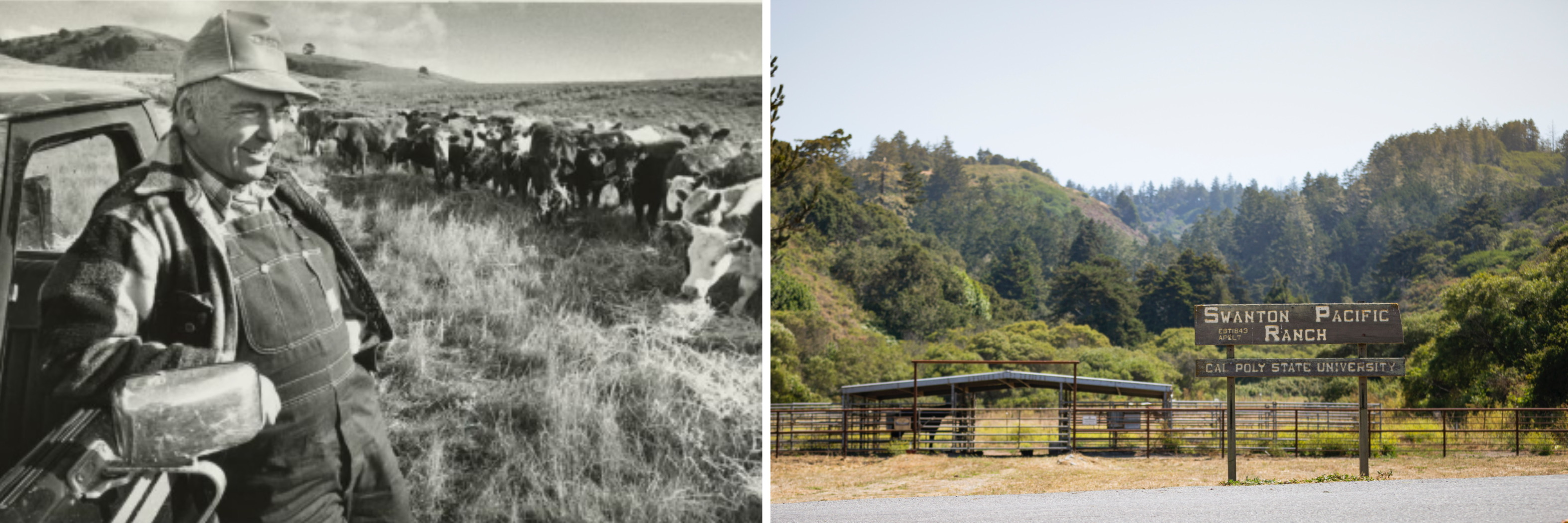 Mission & History - Swanton Pacific Ranch - Cal Poly, San Luis Obispo