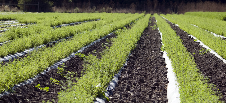 Swanton Pacific Ranch - Swanton Pacific Ranch - Cal Poly, San Luis Obispo