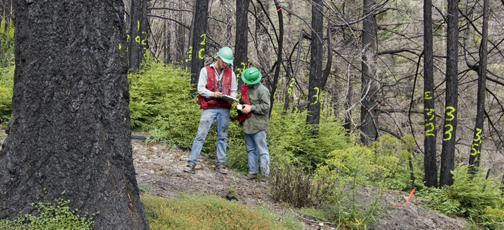 Swanton Pacific Ranch - Swanton Pacific Ranch - Cal Poly, San Luis Obispo