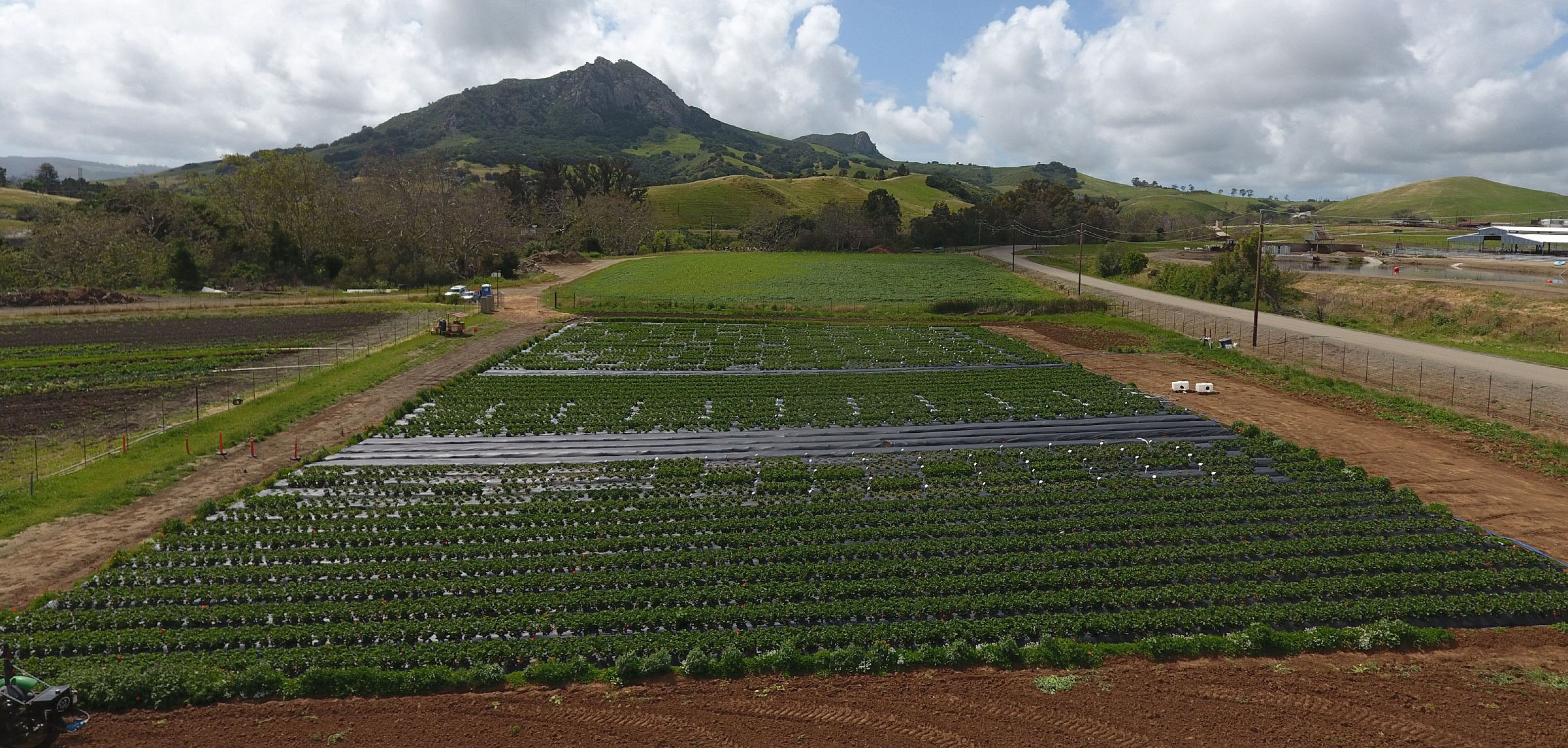 Archived Events - Strawberry Center - Cal Poly, San Luis Obispo